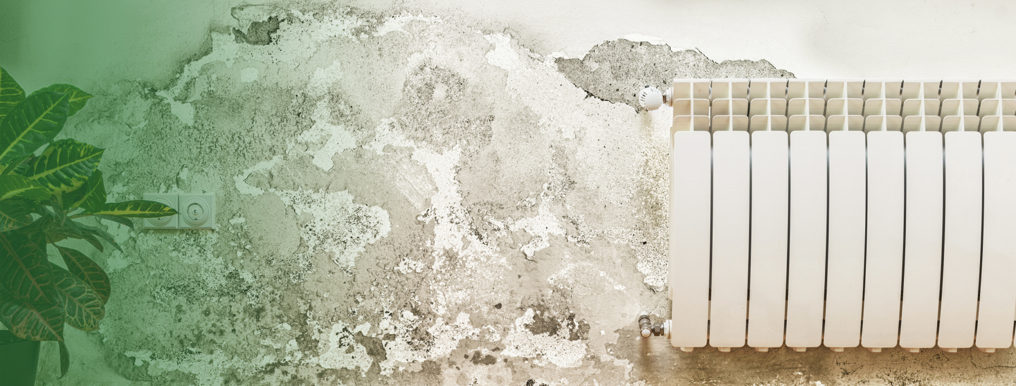 Home Ventilation System & Household Ventilation | Ventis